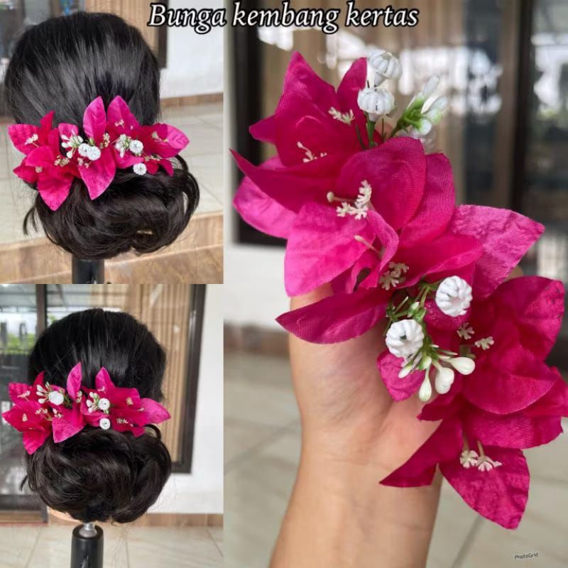 Jual Semanggi bunga kembang kertas/semanggi bali/ semanggi bougenvil ...