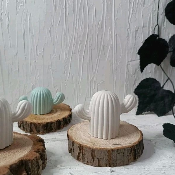 Jual properti foto KAKTUS | properti foto Aesthetik murah | Shopee ...