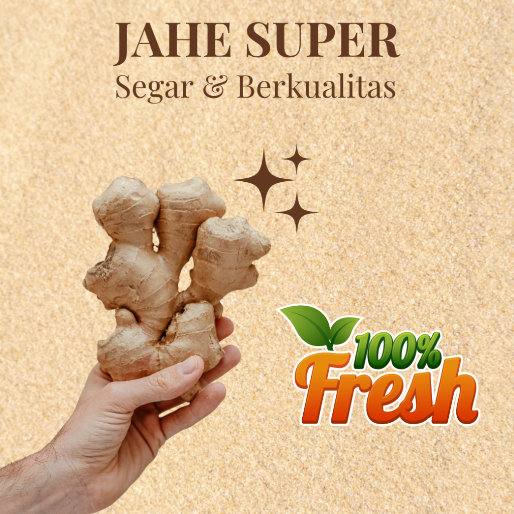 Jual Jahe Super Segar - 1 Kg - Jahe Berkualitas Tinggi - Bumbu Masakan ...