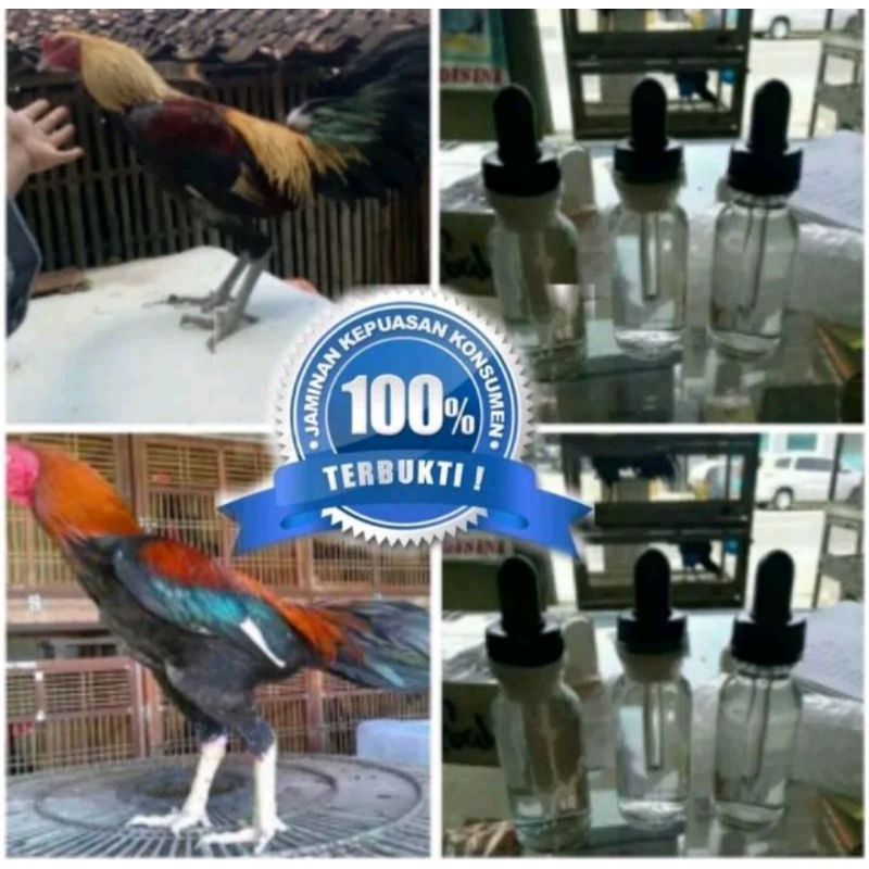 Jual Asli racing horse vitamin aduan doping ayam isi 30ml super agresif pukulan keras | Shopee ...