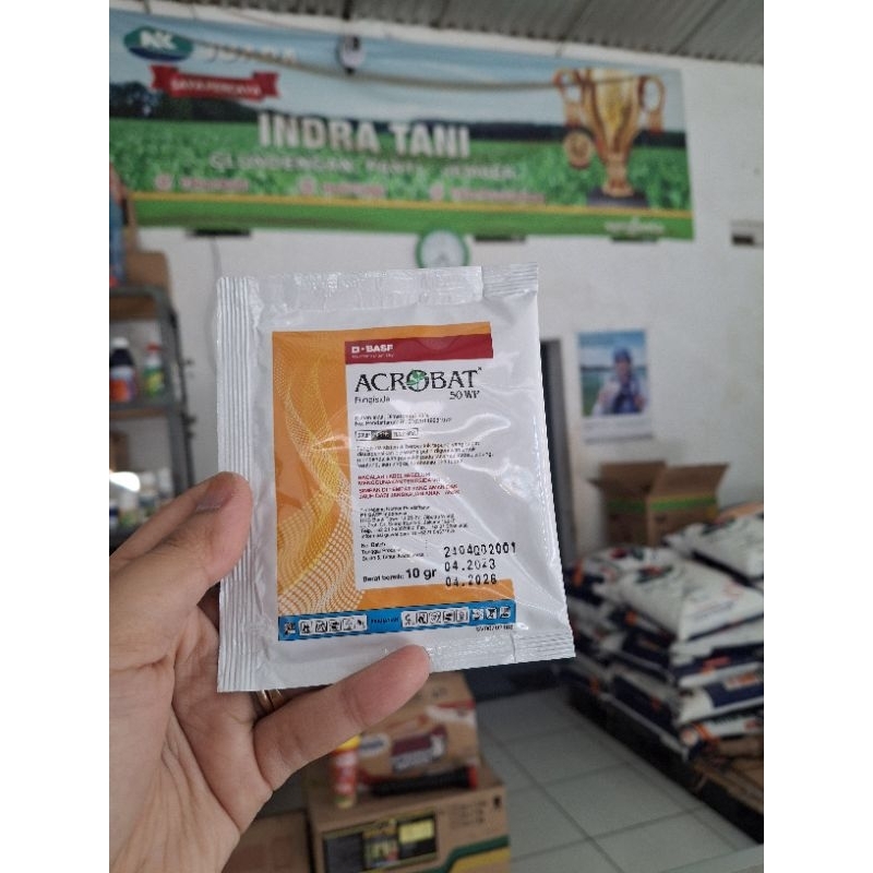 Jual FUNGISIDA ACROBAT/AKROBAT 50WP - 10GRAM (KEMASAN TERBARU) | Shopee ...