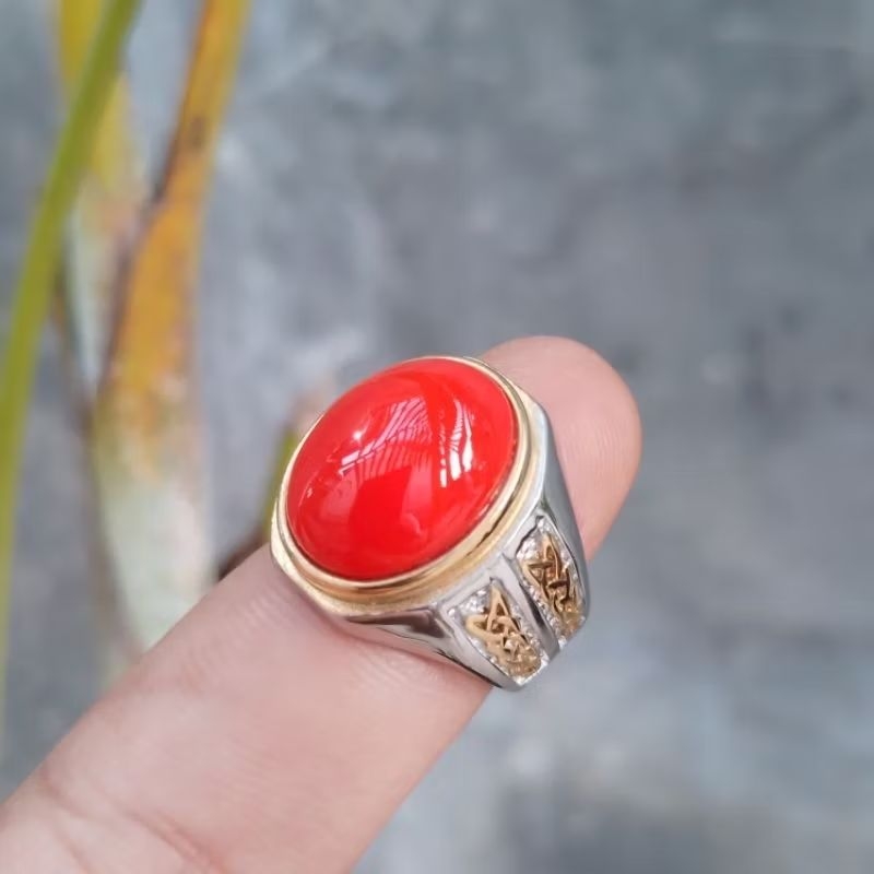 Jual cin-cin batu akik reed coral marjan original stone | Shopee Indonesia
