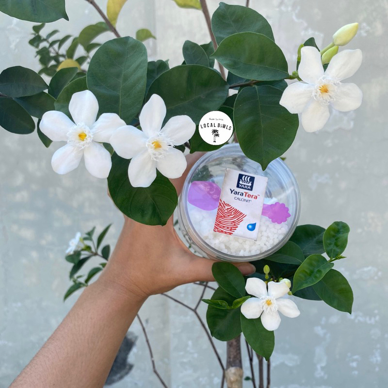 Jual pupuk yara tera calcinit / calnit (repack toples) | Shopee Indonesia