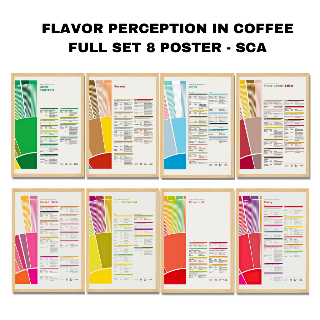Jual POSTER KOPI SCA COFFEE BARISTA PALING LENGKAP FULL SET FLAVOR RODA ...