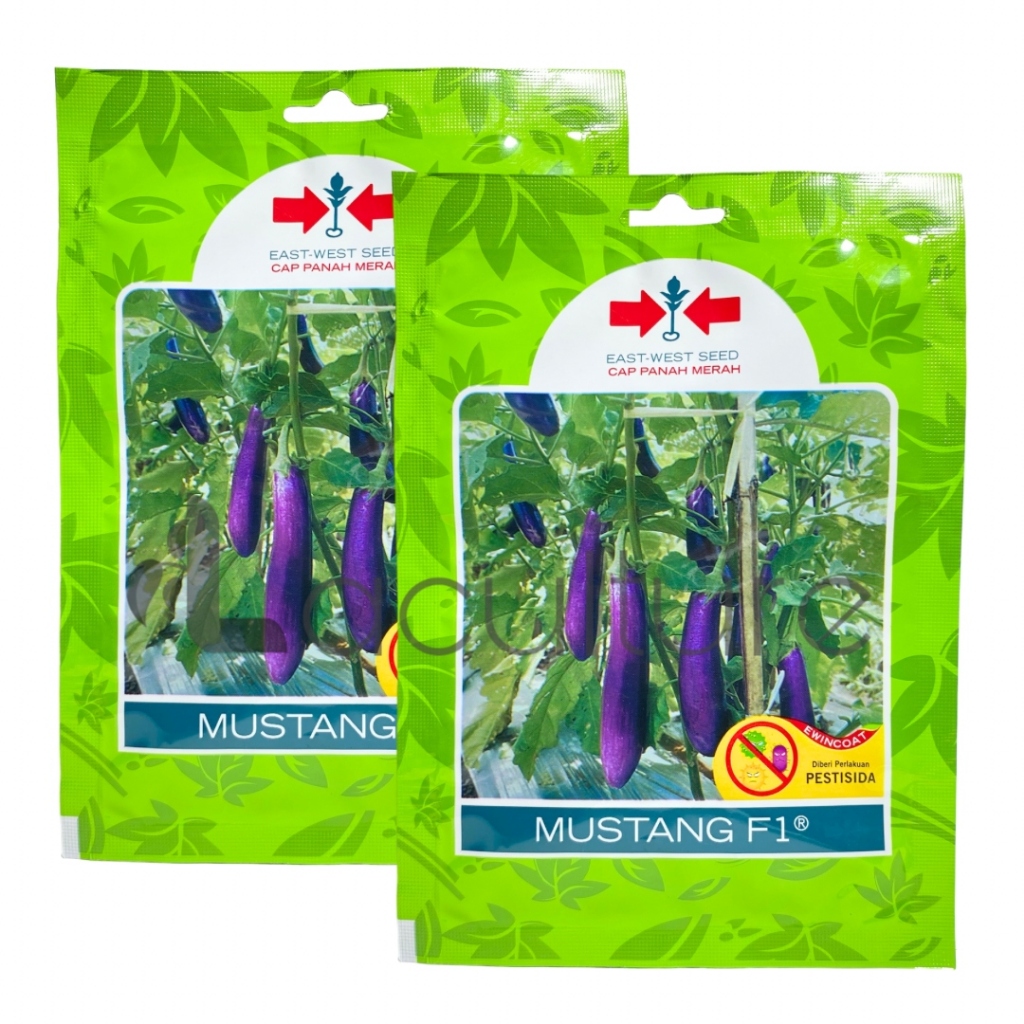 Jual Benih Terong Ungu MUSTANG F1 Isi 400 Butir Cap Panah Merah | Shopee Indonesia
