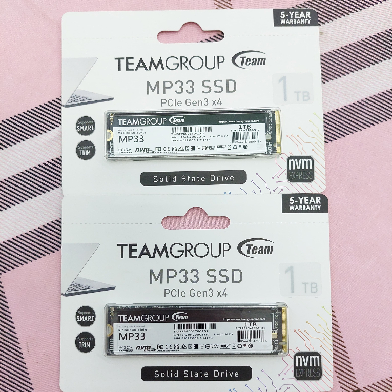 Jual NVME M.2 1TB TEAM GROUP MP33 SSD PCIe Gen3 x4 | Shopee Indonesia