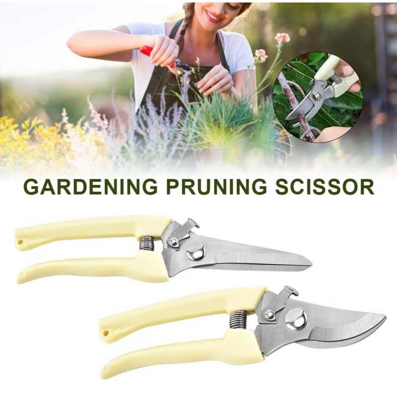 Jual GUNTING KEBUN PANGKAS DAHAN RANTING POHON DAUN LURUS & BENGKOK ...