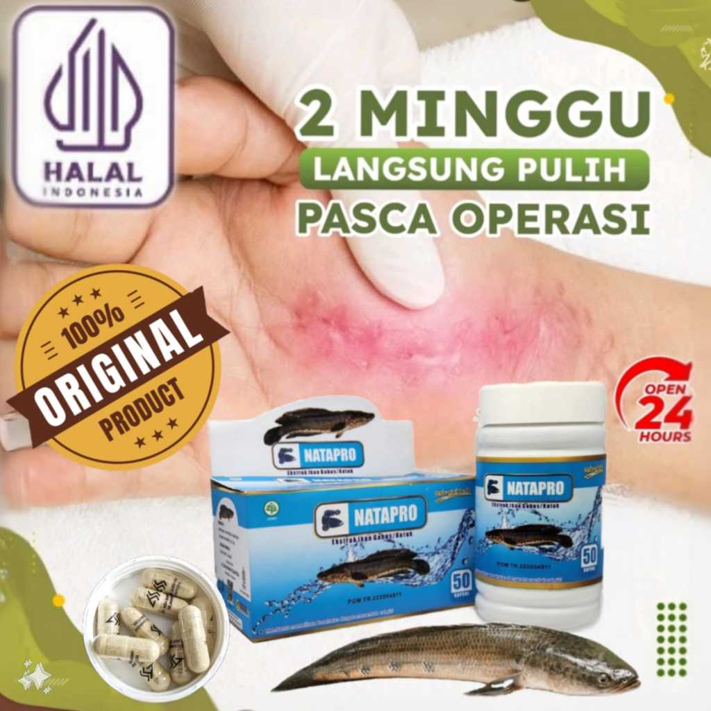 Jual Pro Albumin NATAPRO 100% Ekstrak Ikan Gabus / kutuk - Kapsul Albumin Ikan Gabus - 50 kapsul ...