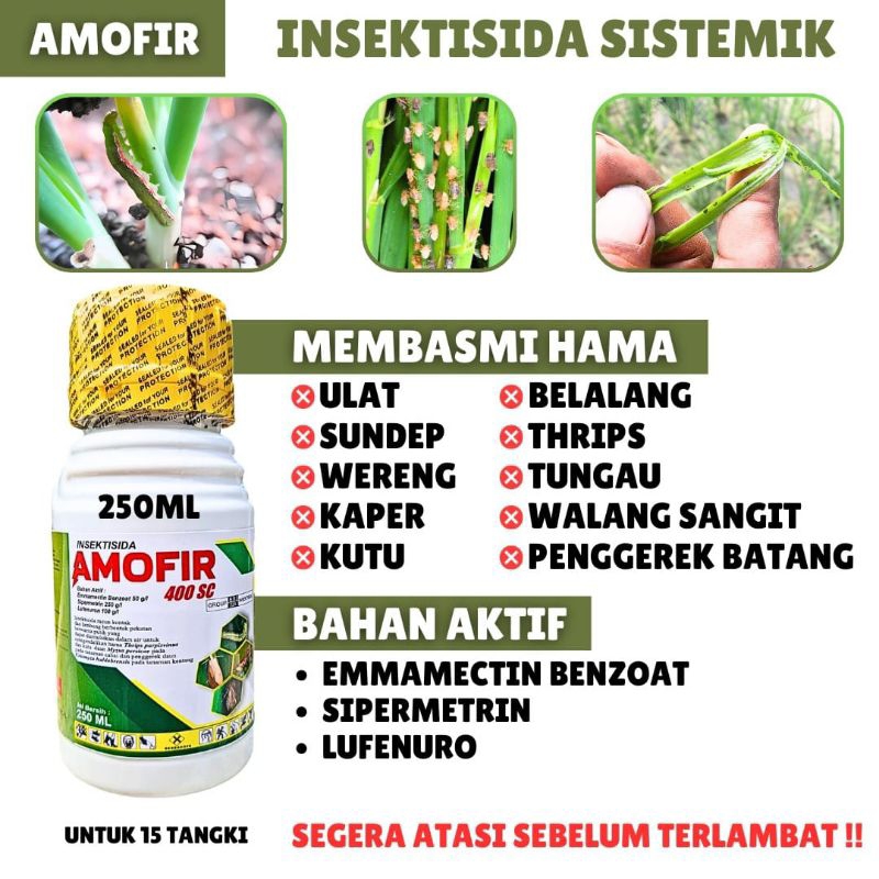 Jual Insektisida AMOFIR Pengendali Hama | 250ml | Shopee Indonesia