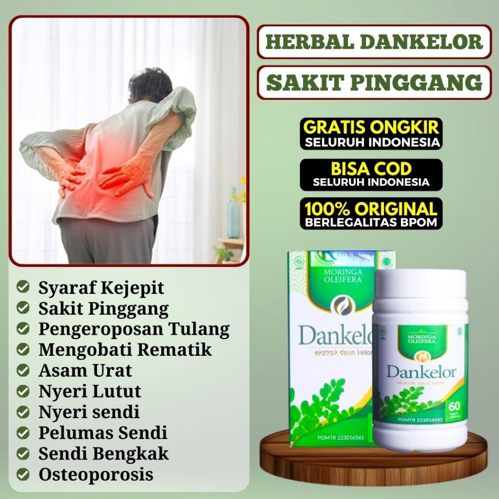 Jual Obat Sakit Pinggang Nyeri Sendi Saraf Kejepit Asam Urat Sakit ...