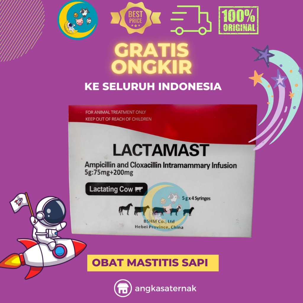 Jual Lactamast 1 Syringe - Antibiotik Intramammary untuk Pengobatan ...