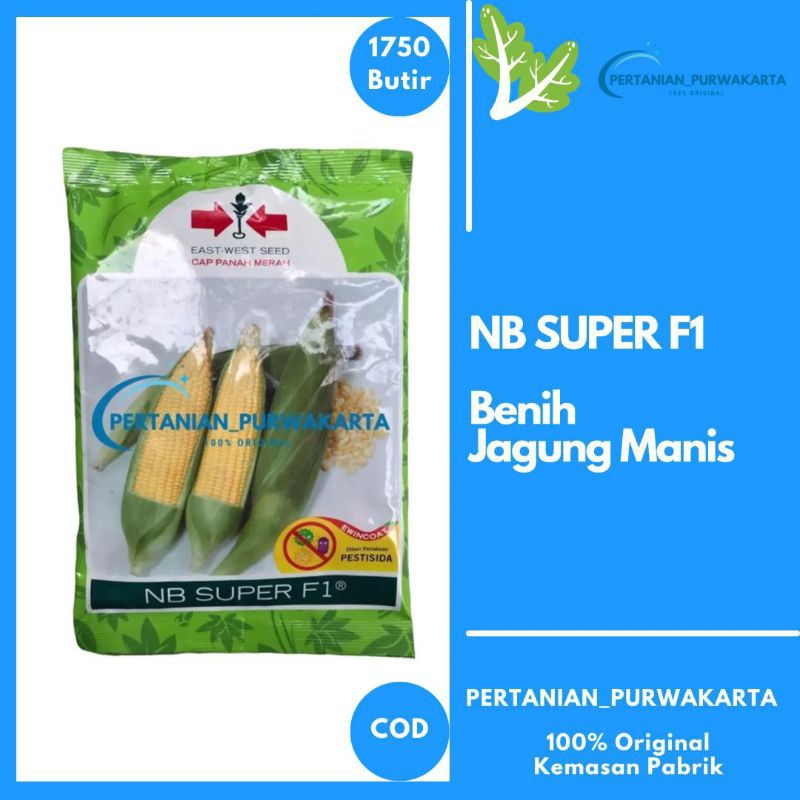 Jual BENIH JAGUNG MANIS NB SUPER F1 isi 1750 BUTIR BENIH JAGUNG MANIS ...