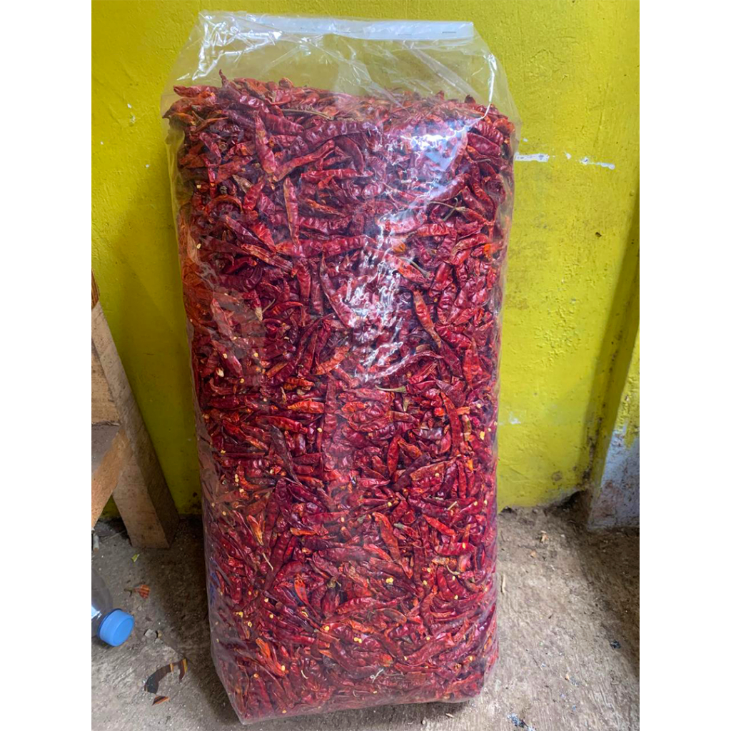 Jual CABE KERING 5KG | CABE JAPLAK ( TANPA TANGKAI NO.1 ) | Shopee ...