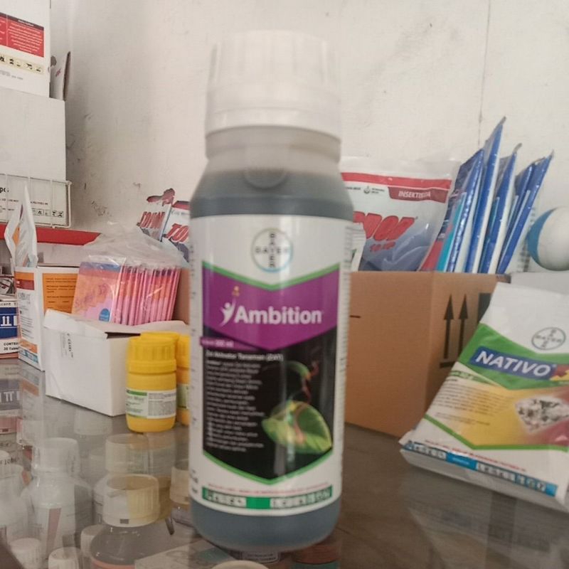 Jual AMBITION 500 ML | Shopee Indonesia