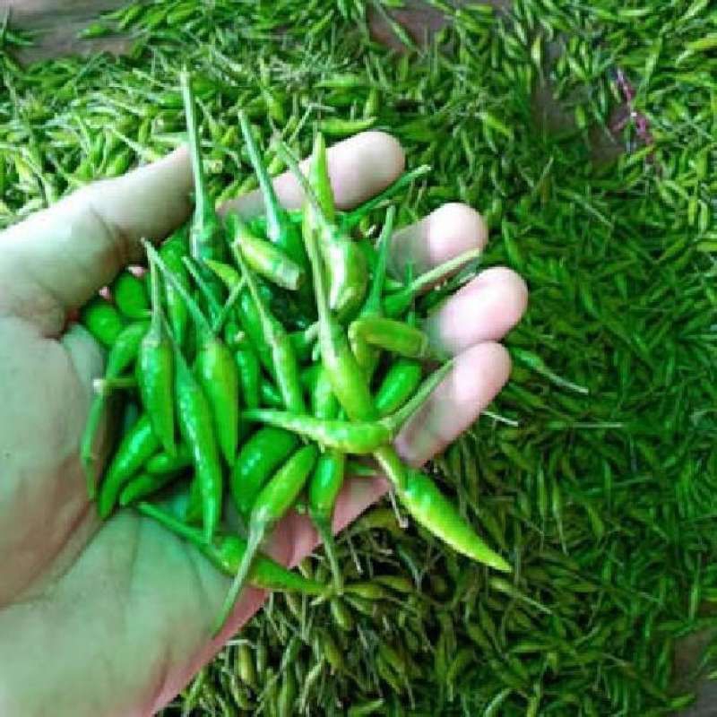 Jual CABE CABAI RAWIT HIJAU 1KG | Shopee Indonesia