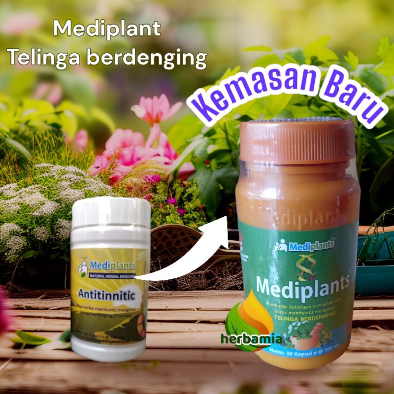 Jual Obat Herbal Untuk TELINGA BERDENGING OTITIS MEDIA AKUT DAN TULI ...