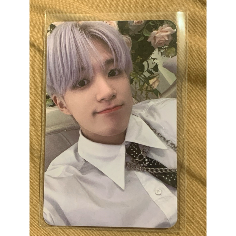 Jual pc jeno everline istj breadsmile | Shopee Indonesia
