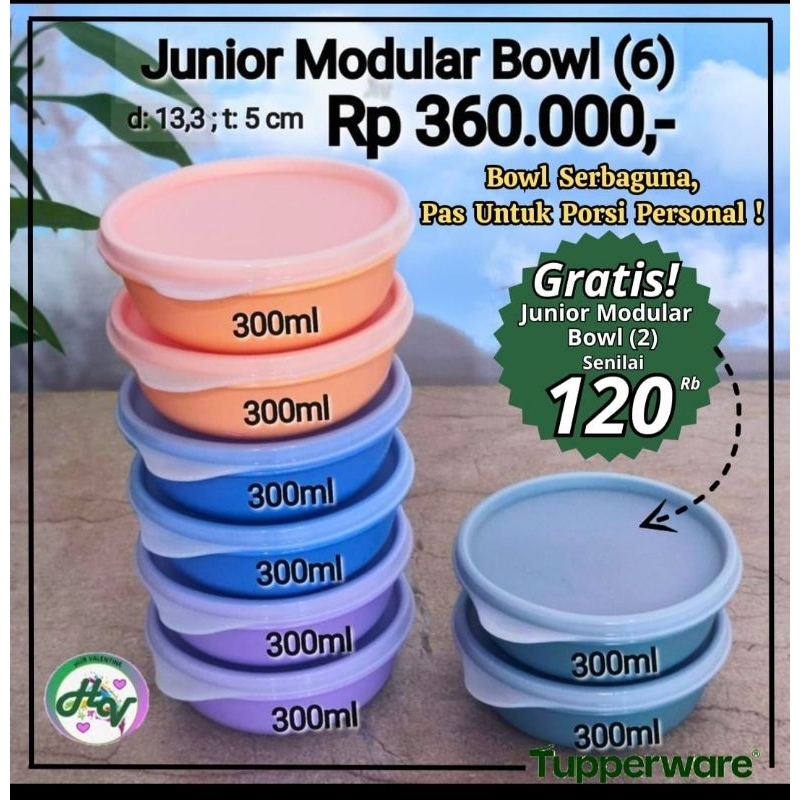 Jual Tupperware Junior Modular Bowl 300ml Toples Bulat Kecil | Shopee ...