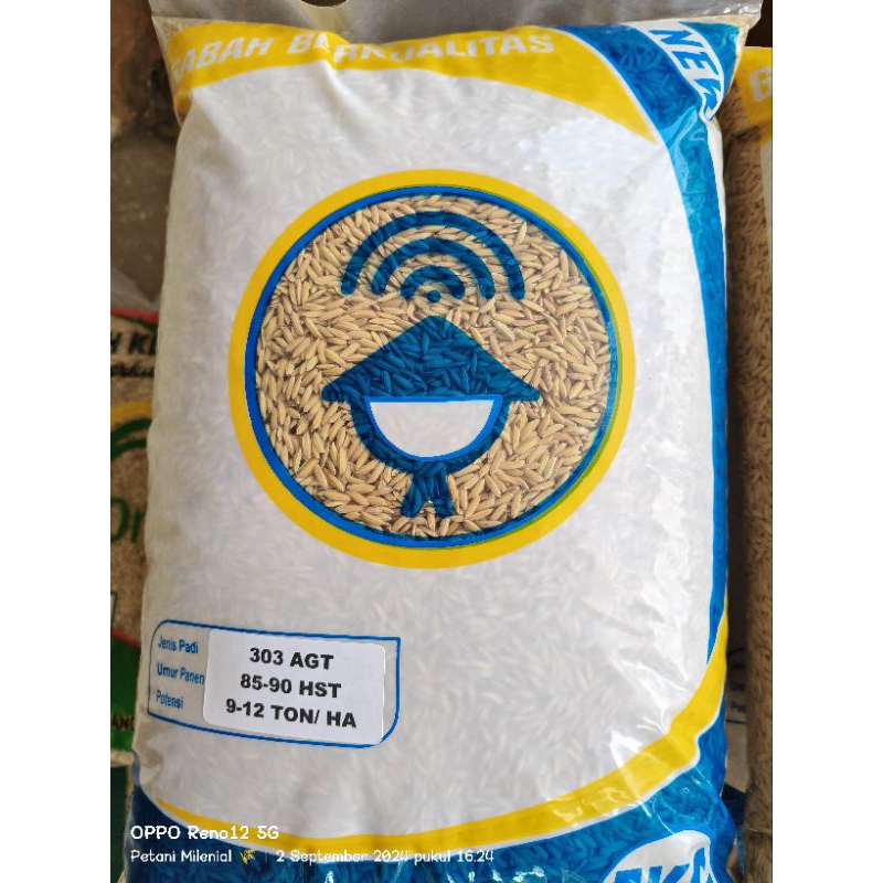 Jual Benih Padi 303 AGT Super 5Kg - Tanaman Padi Unggul dengan Tinggi ...