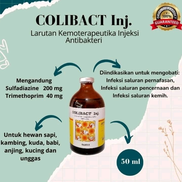 Jual COLIBACT INJEK 50ml - obat antibakteri pada hewan ternak (sapi ...