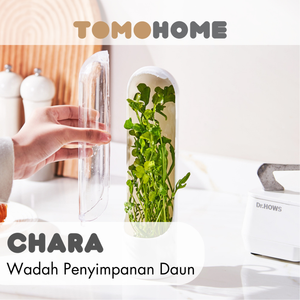 Jual TOMO - CHARA Keeper Sayur Tidak Layu Fridge Storage Herb Smart ...