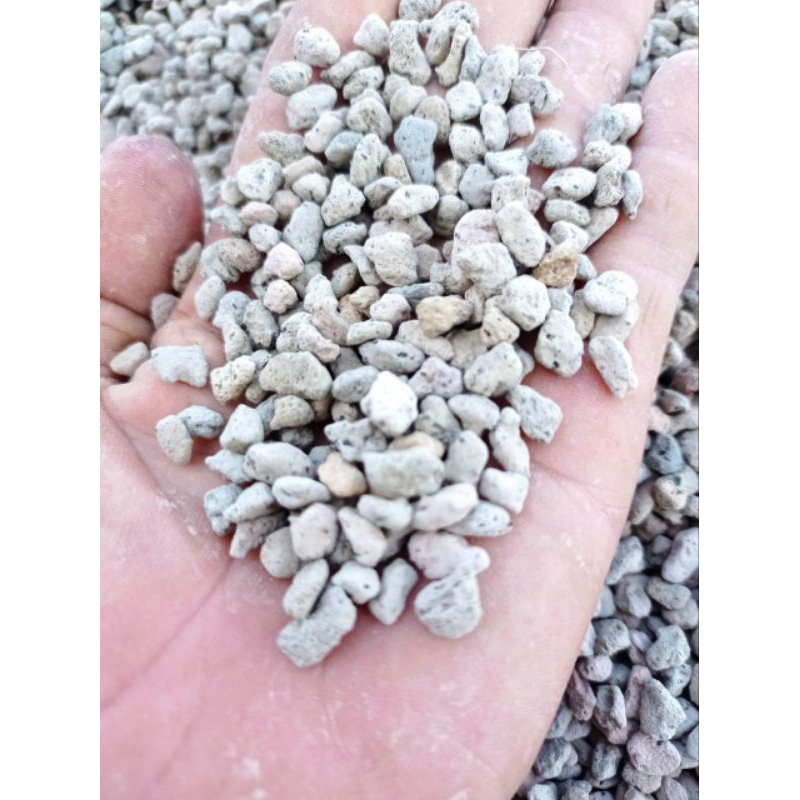 Jual BATU APUNG/PUMICE STONE/MEDIA FILTER KOLAM KOI/MEDIA TANAM BERAT ...