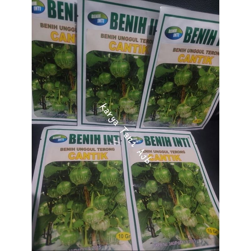 Jual Bibit Benih Terong Lalap BENIH INTI 10gr (Exp Des 2025) | Shopee ...
