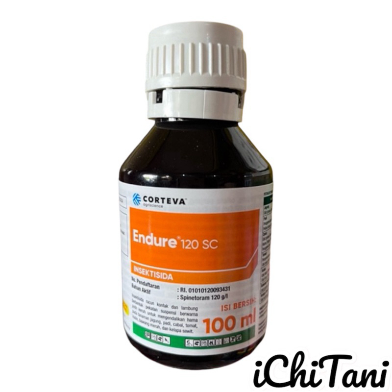 Jual Endure 100 ML | Shopee Indonesia