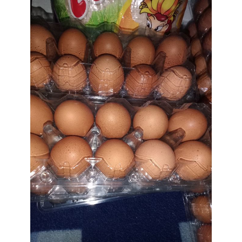 Jual telur ayam 10 butir kemasan mika | Shopee Indonesia