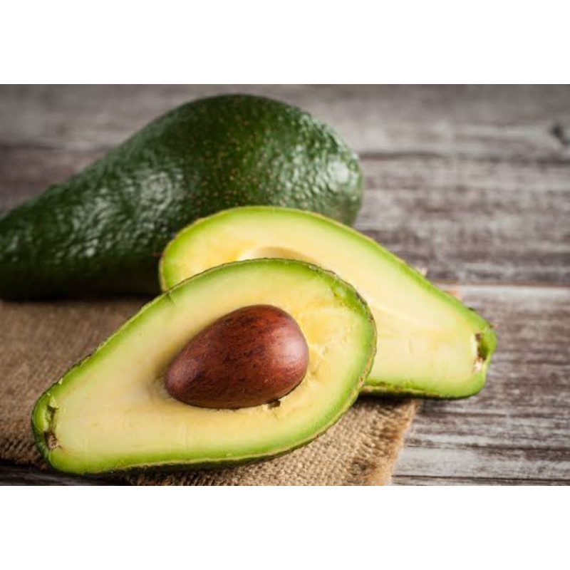 Jual alpukad / buah apokad / avocad kendil / alpukad jumbo | Shopee ...