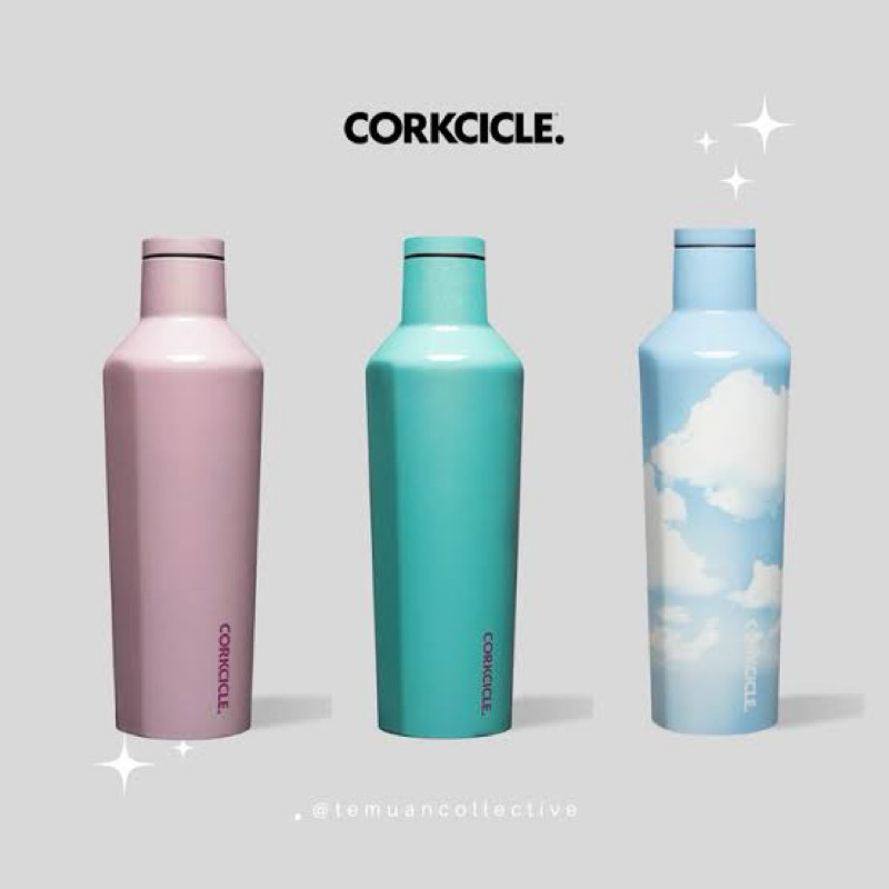 Jual CORKCICLE® Canteen 16oz & 24 oz - Insulated Tumbler/Drinking Bottle - Dragonfly, 160z ...