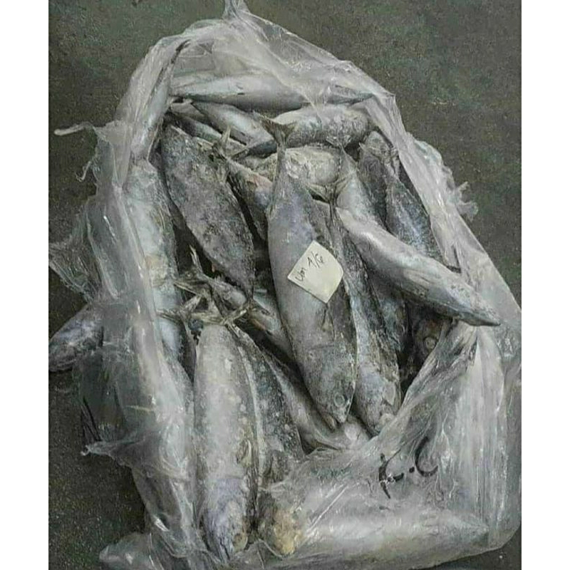 Jual Ikan Deho Beku Kapal | Shopee Indonesia