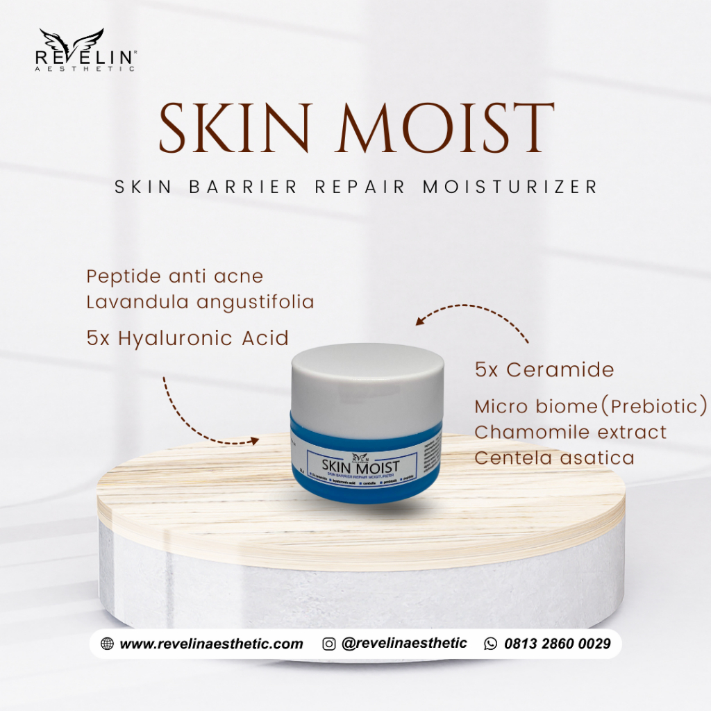 Jual RVLN SKIN MOIST / Skin barier repair moisturizer /10g | Shopee ...