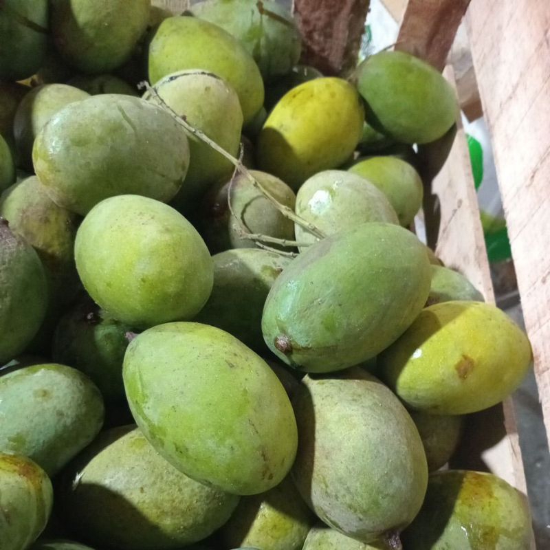 Jual Mangga Kweni 500g | Shopee Indonesia