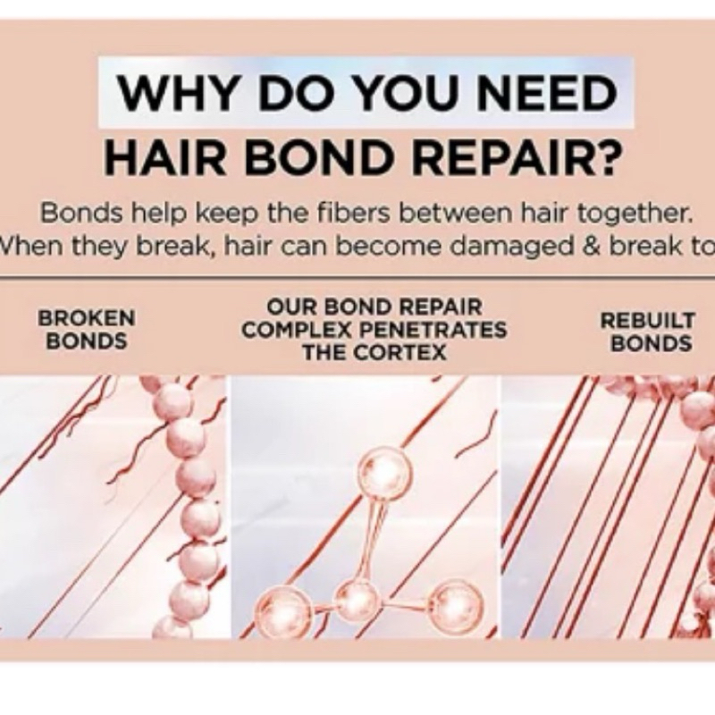 Jual L'Oreal Paris EverPure Bond Repair Kit (Concentrate, Shampoo ...