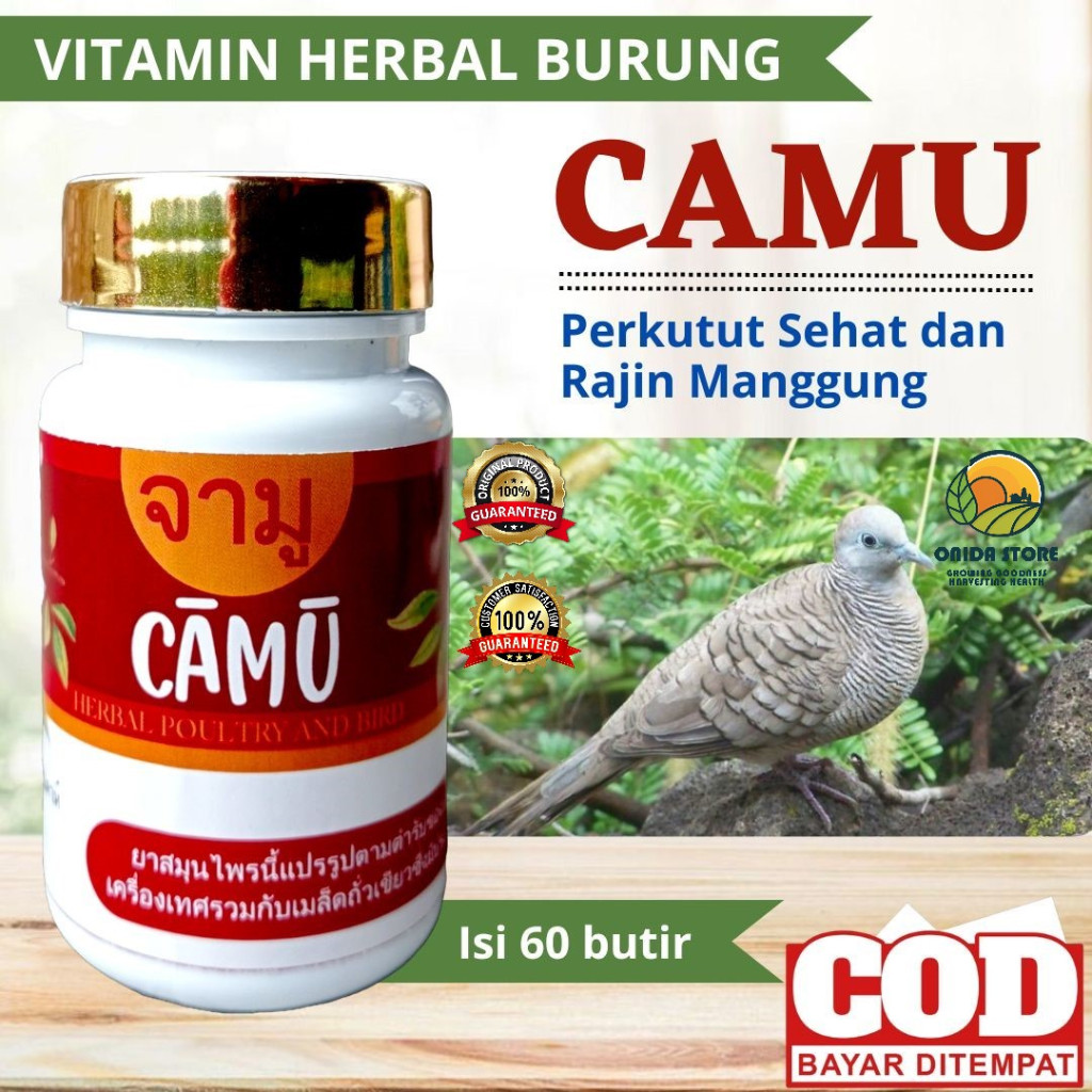 Jual CAMU PIL PERKUTUT GACOR MANGGUNG / Jamu perkutut / Pil Manjur ...