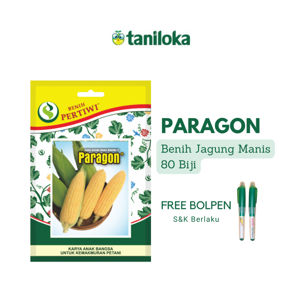 Jual Benih Pertiwi - Benih Jagung Manis Hibrida Paragon (80 Biji ...