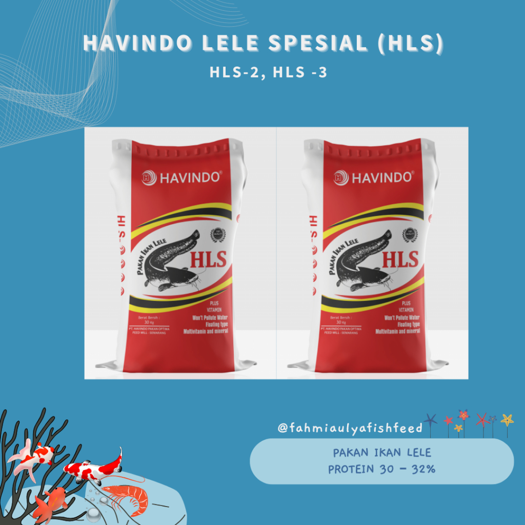 Jual HAVINDO PAKAN IKAN LELE SPESIAL (HLS) | HLS-2, HLS-3 Kemasan Repack 1 Kg | Shopee Indonesia