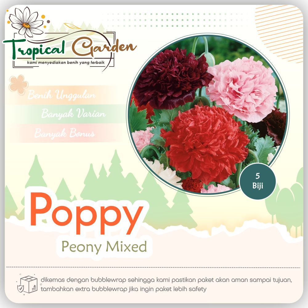 Jual Tropical Garden Benih Biji Bunga Poppy Peony Mixed COD | Shopee ...
