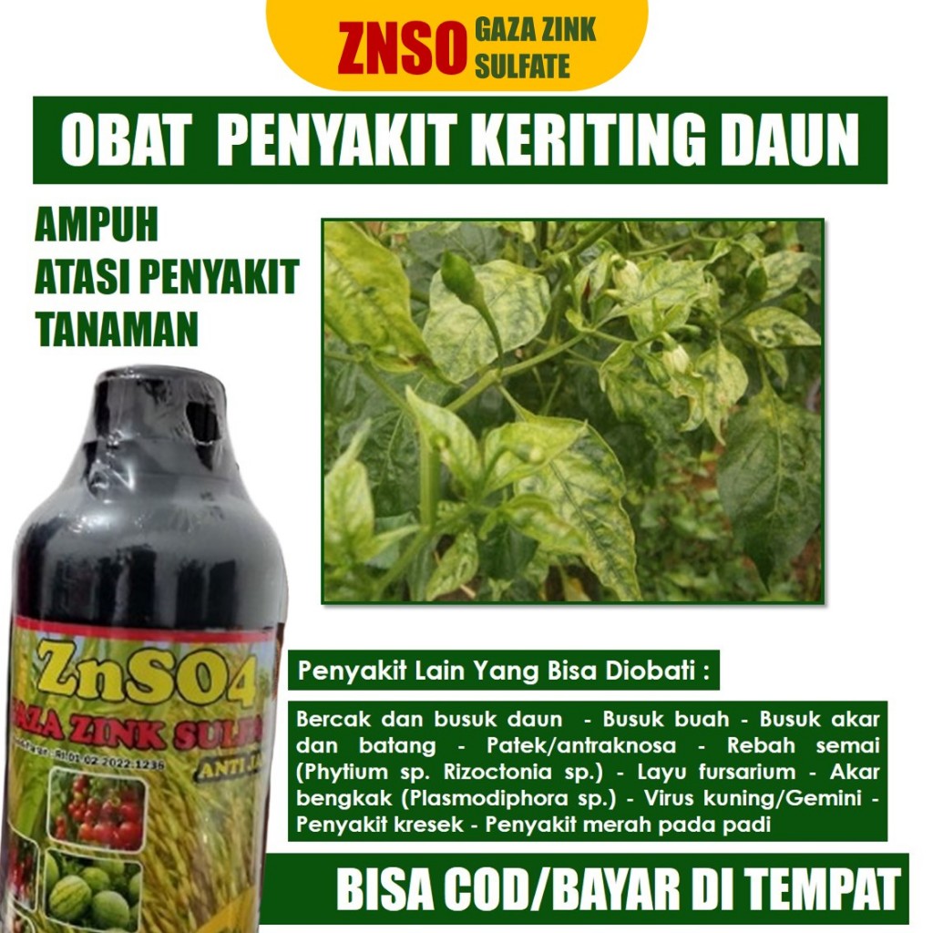 Jual ZNSO4 Obat Daun Kuning dan Keriting Cabe, Kacang Panjang, Bawang ...