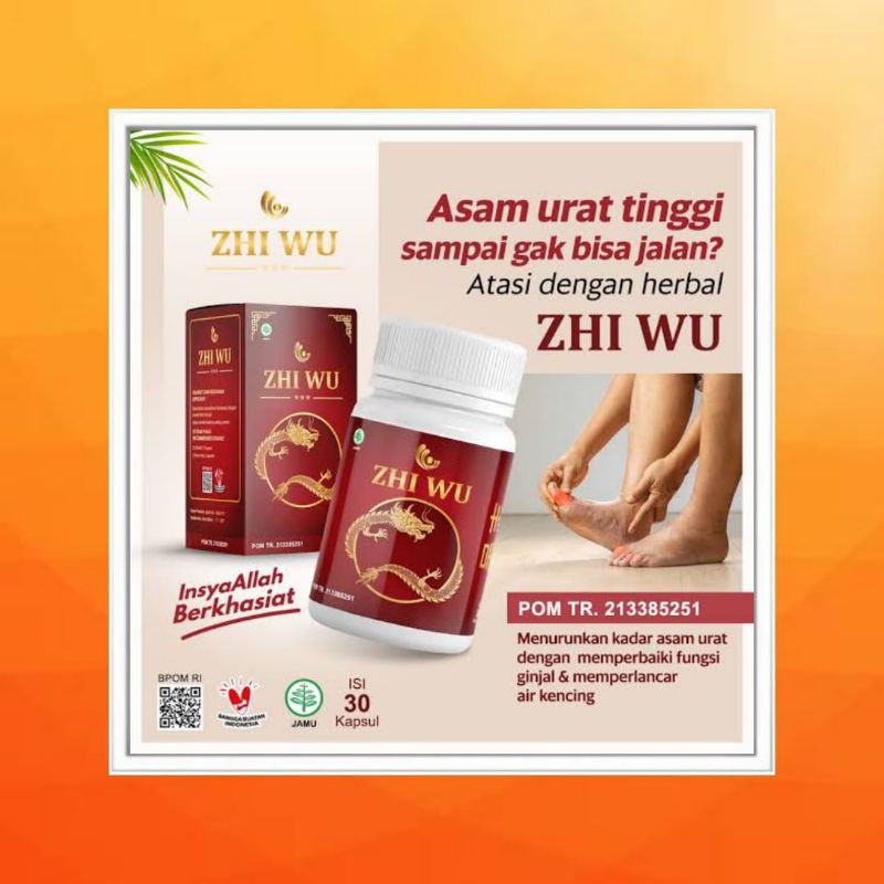 Jual ZHIWU Original Obat Asam Urat Rematik Dan Nyeri Sendi - ZHI WU 30 ...