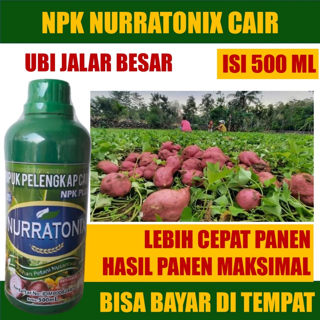 Jual 500 ML Pupuk Ajaib NPK NURRATONIX Melebatkan Ubi Jalar Terbaik, Pupuk Pelebat Buah dan ...