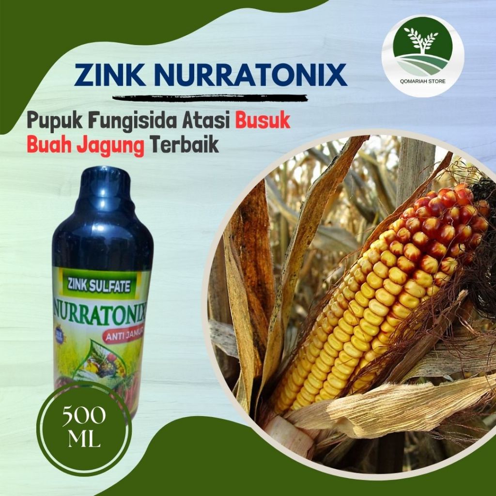 Jual pupuk busuk buah jagung terbaik ZINK NURRATONIX 500ml - obat busuk akar,batang,buah jagung ...