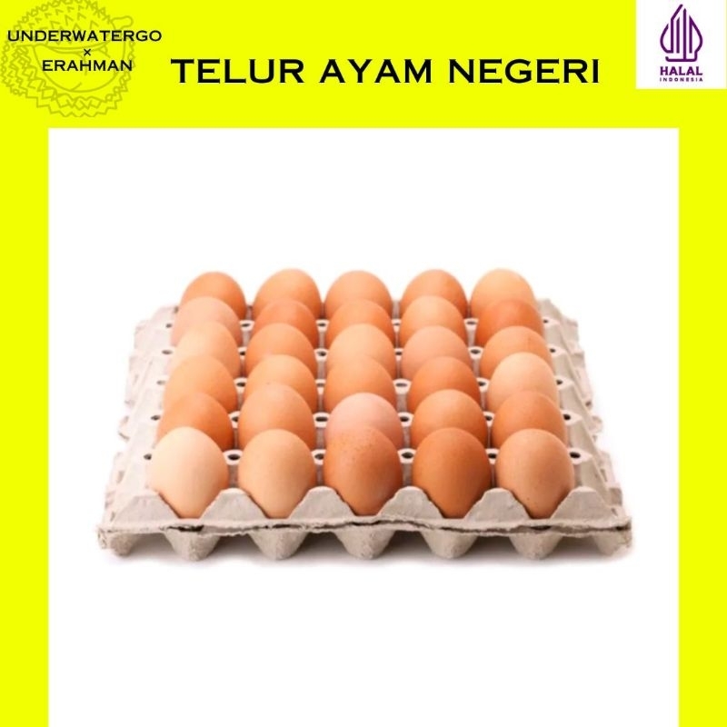 Jual TELUR AYAM NEGERI PREMIUM 1KG ISI 17 BUTIR TERMURAH | Shopee Indonesia