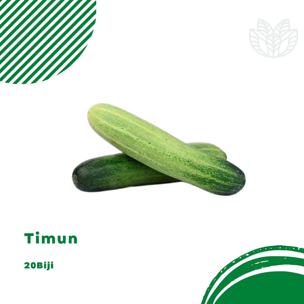 Jual Benih Biji Timun Lalap Unggul | Shopee Indonesia