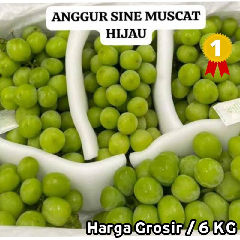 Jual PROMO!! BUAH ANGGUR MUSCAT 1 KERANJANG ( 6 KG ) FRESH BUAH SEGAR ...