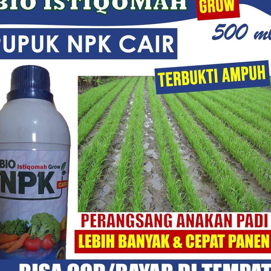 Jual Khusus Pupuk Ajaib PER ANAKAN PADI BIO ISTIQOMAH GROW ML Panen Padi dan Pupuk NPK Cair ...
