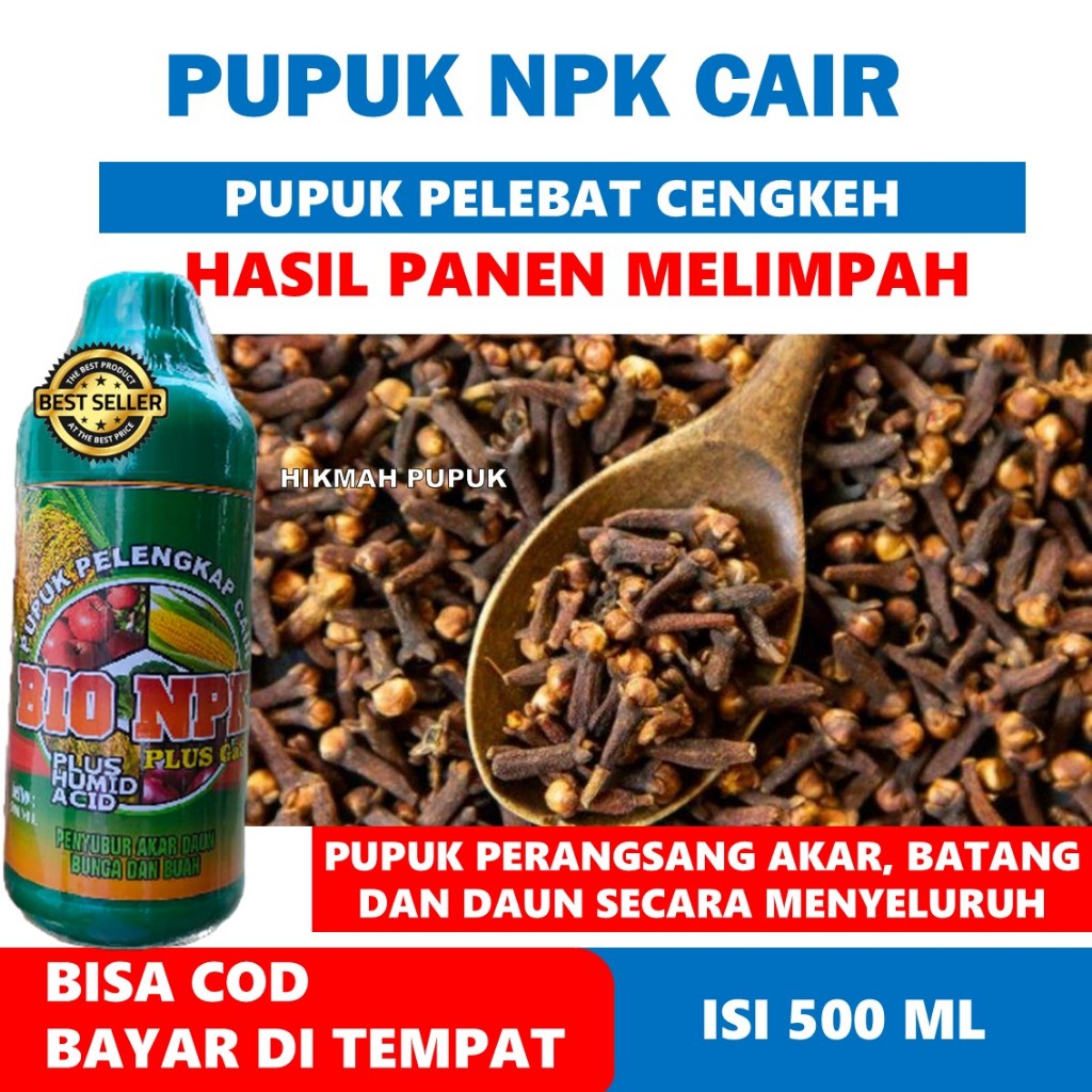 Jual (BISA COD) BAYAR DI RUMAH OBAT MELEBATKAN CENGKEH PALING BAGUS ...