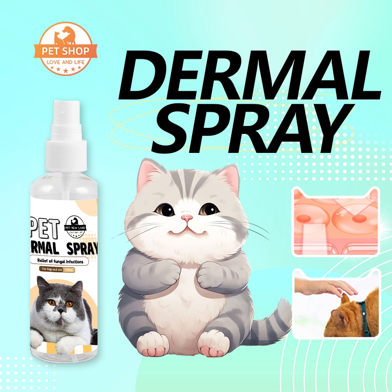 Jual Hewan peliharaan kucing kurap kurap anjing kurap jamur kulit ...