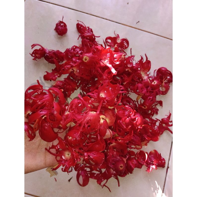 Jual bunga pala kering | Shopee Indonesia